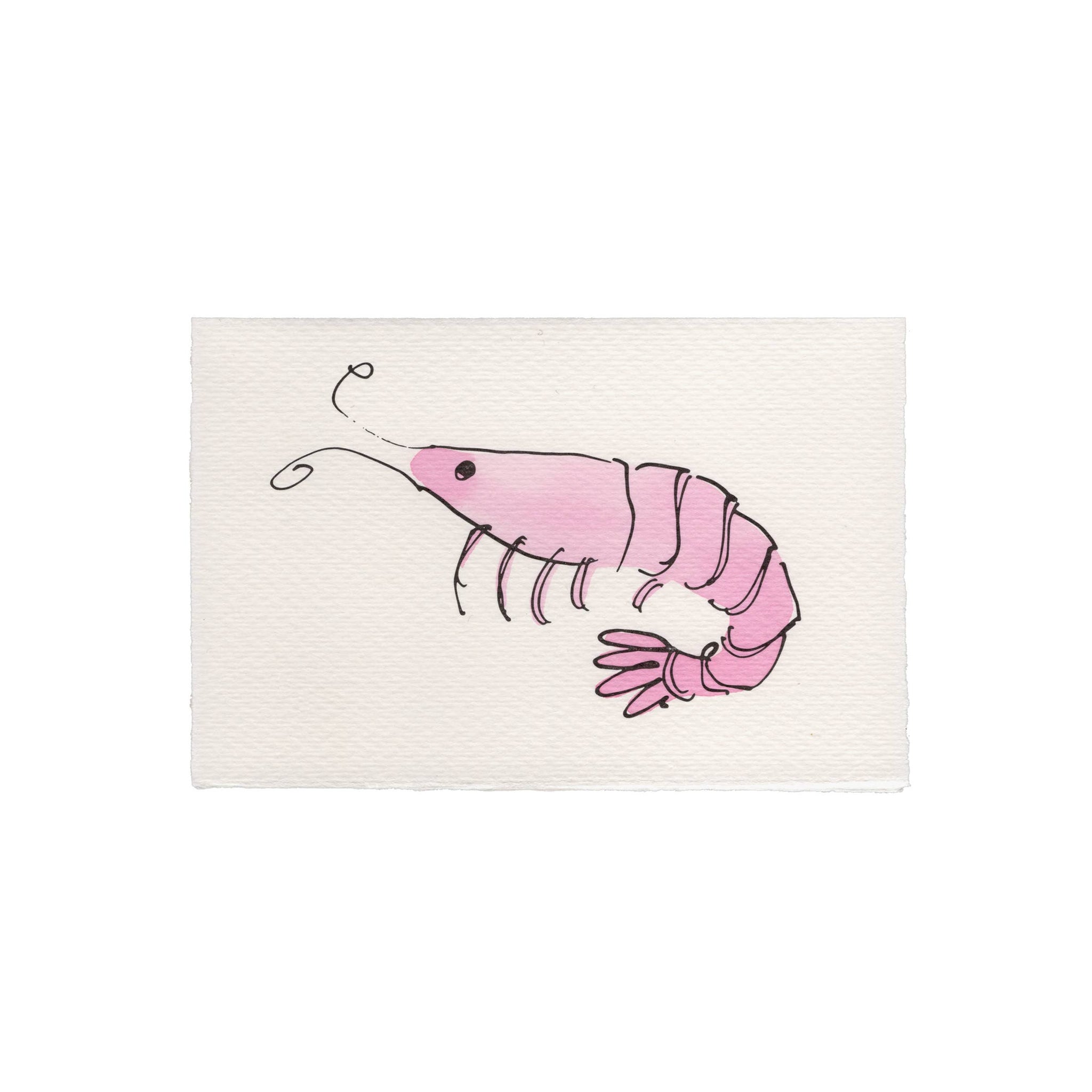 Prawn Greeting Card
